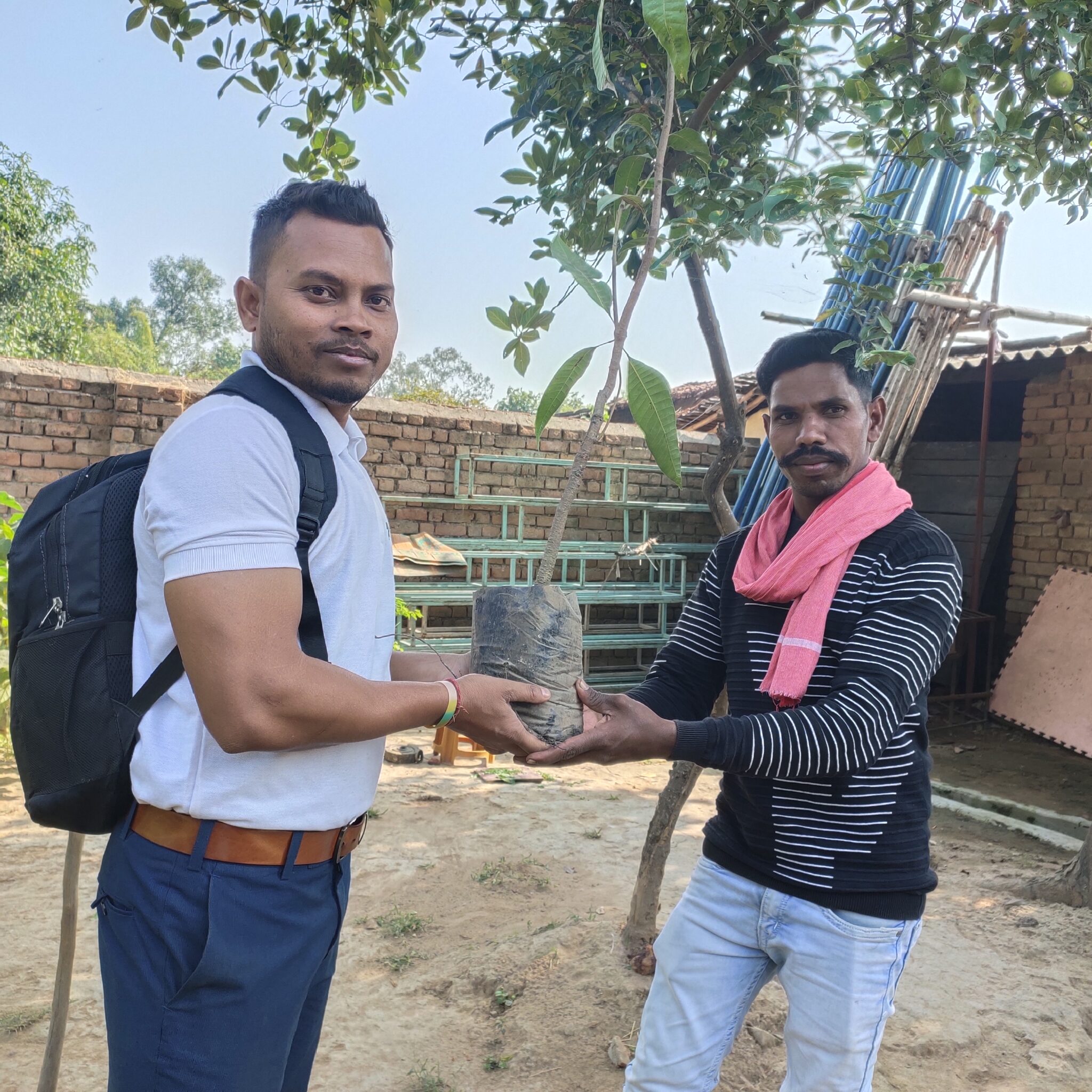 Tree Plantation Drive Story 13 – How Treewards helped Dev Kumar - Treewards