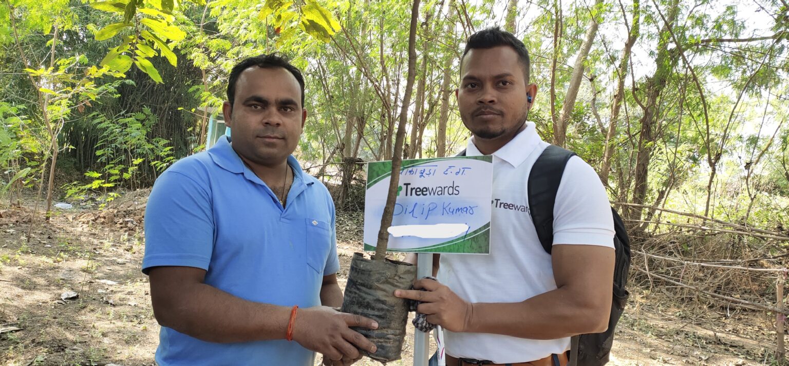Tree Plantation Drive Story 14: How Treewards contributed Dilip Kumar