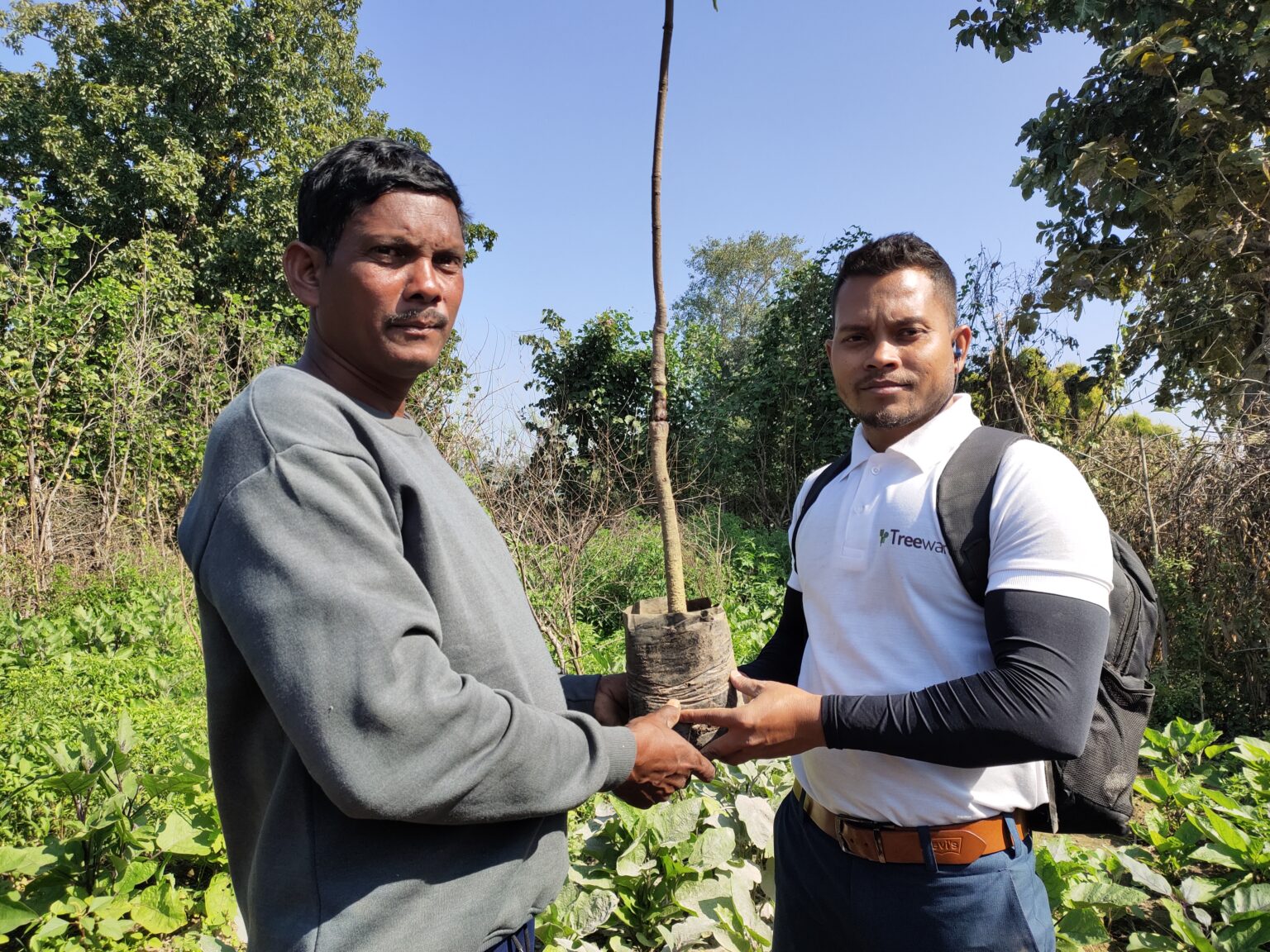 Tree Plantation Drive Story 60 - How Treewards helped Kumar Singh