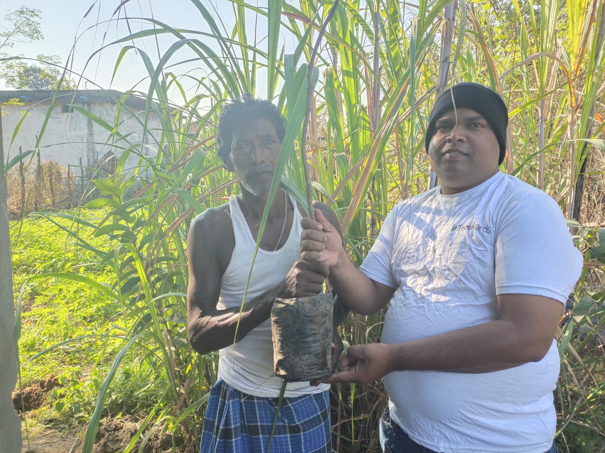 Tree Plantation Drive Story 77 - How Treewards helped Gyan Das
